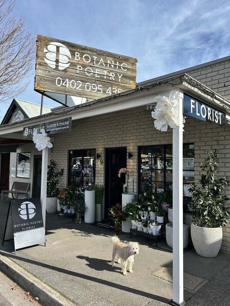 Florist Adelaide South Australia | Woodside online flower delivery ...